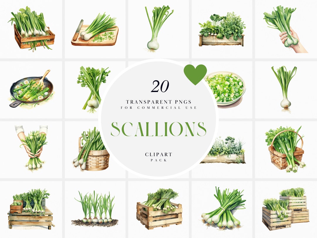 Watercolor Scallions Clipart, Green Scallion Plant Clipart, Garden ...