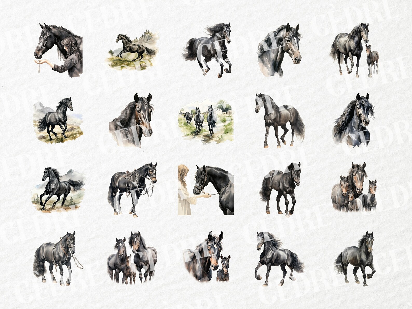 Watercolor Black Horse Clipart, Black Horses Clipart, Black Pony ...