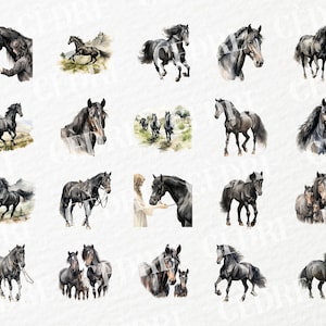 Watercolor Black Horse Clipart, Black Horses Clipart, Black Pony ...