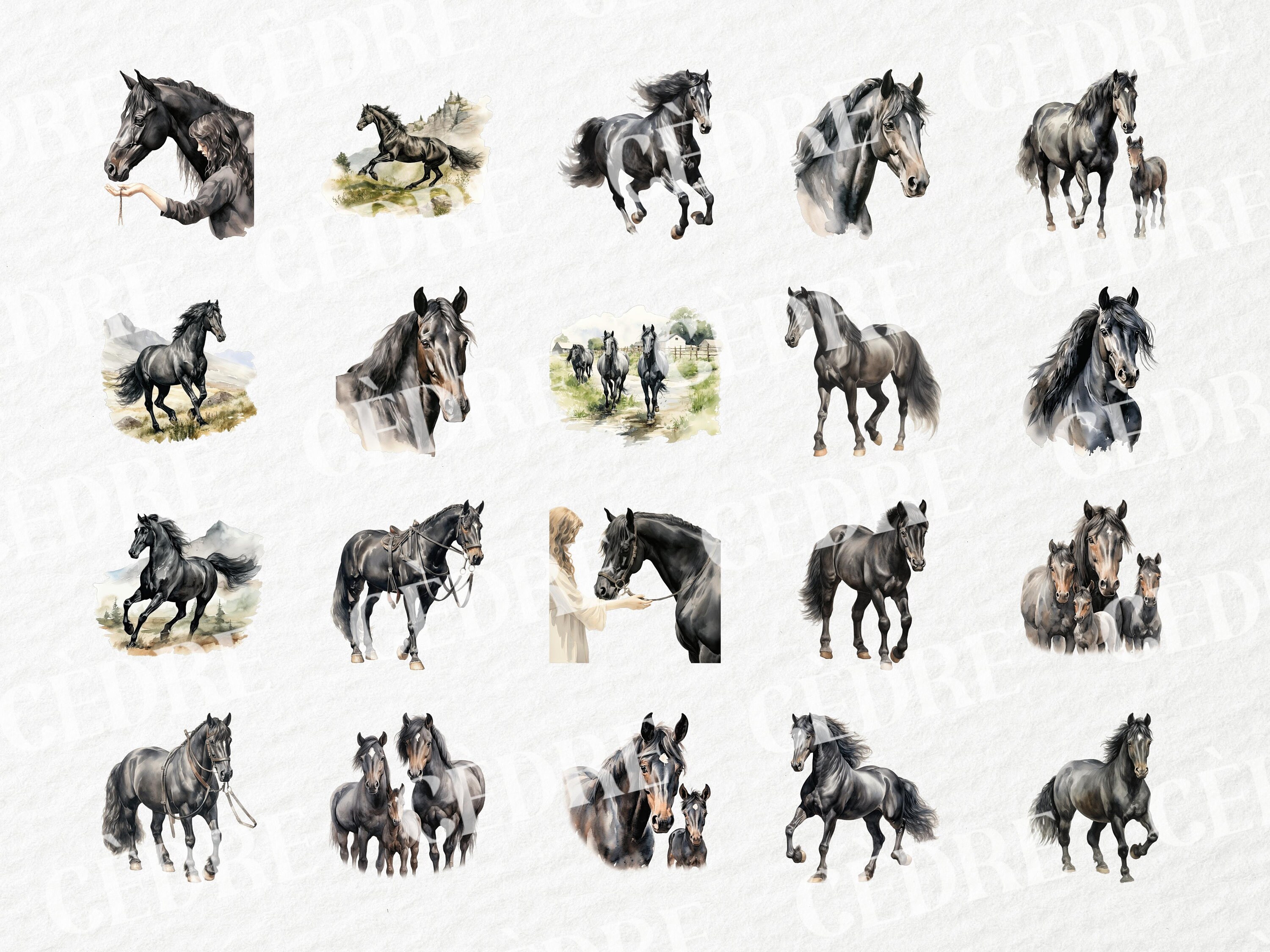 Watercolor Black Horse Clipart, Black Horses Clipart, Black Pony ...