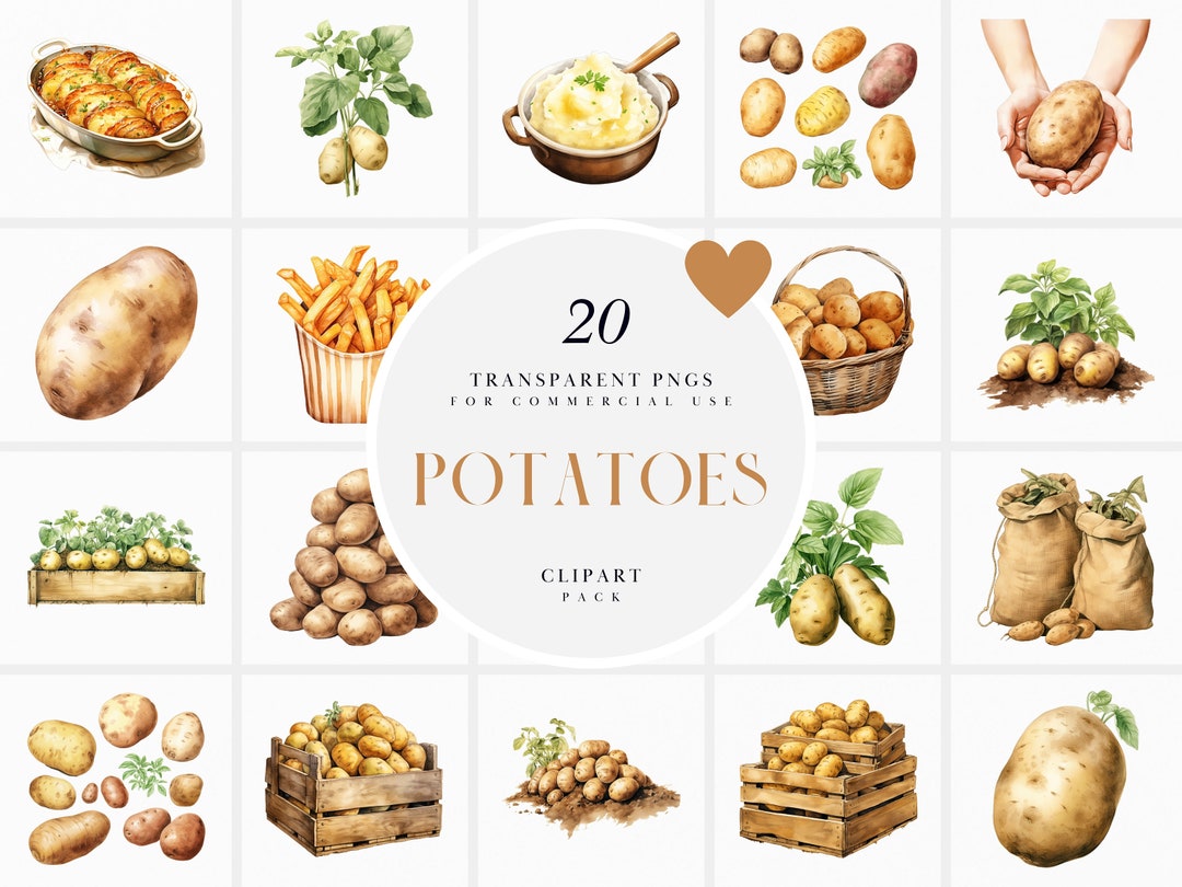Watercolor Potato Clipart, Potatoes Clipart, Root Vegetable Clipart ...