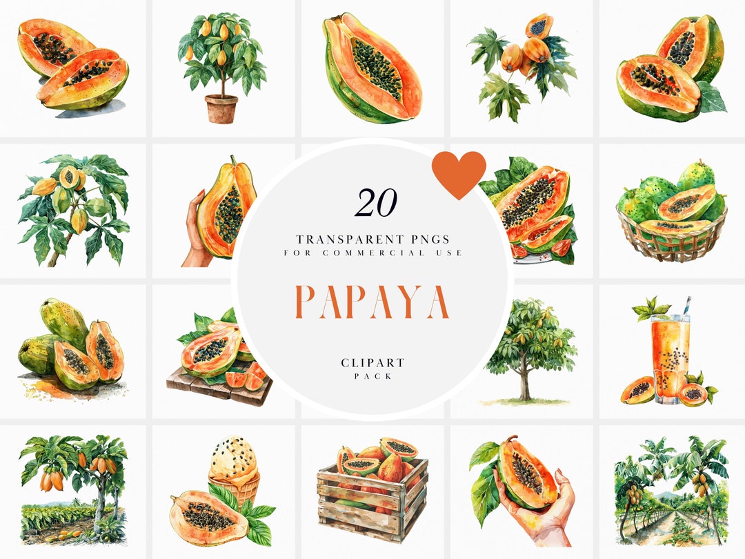 Watercolor Papaya Clipart, Orange Papayas Clipart, Tropical Fruits ...