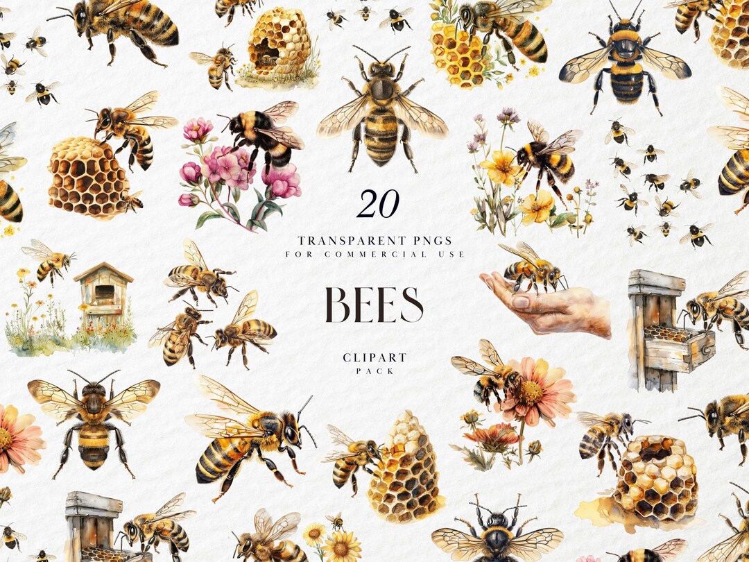 Watercolor Realistic Bee Clipart, Flying Yellow Bees, Hive, Honeybee ...