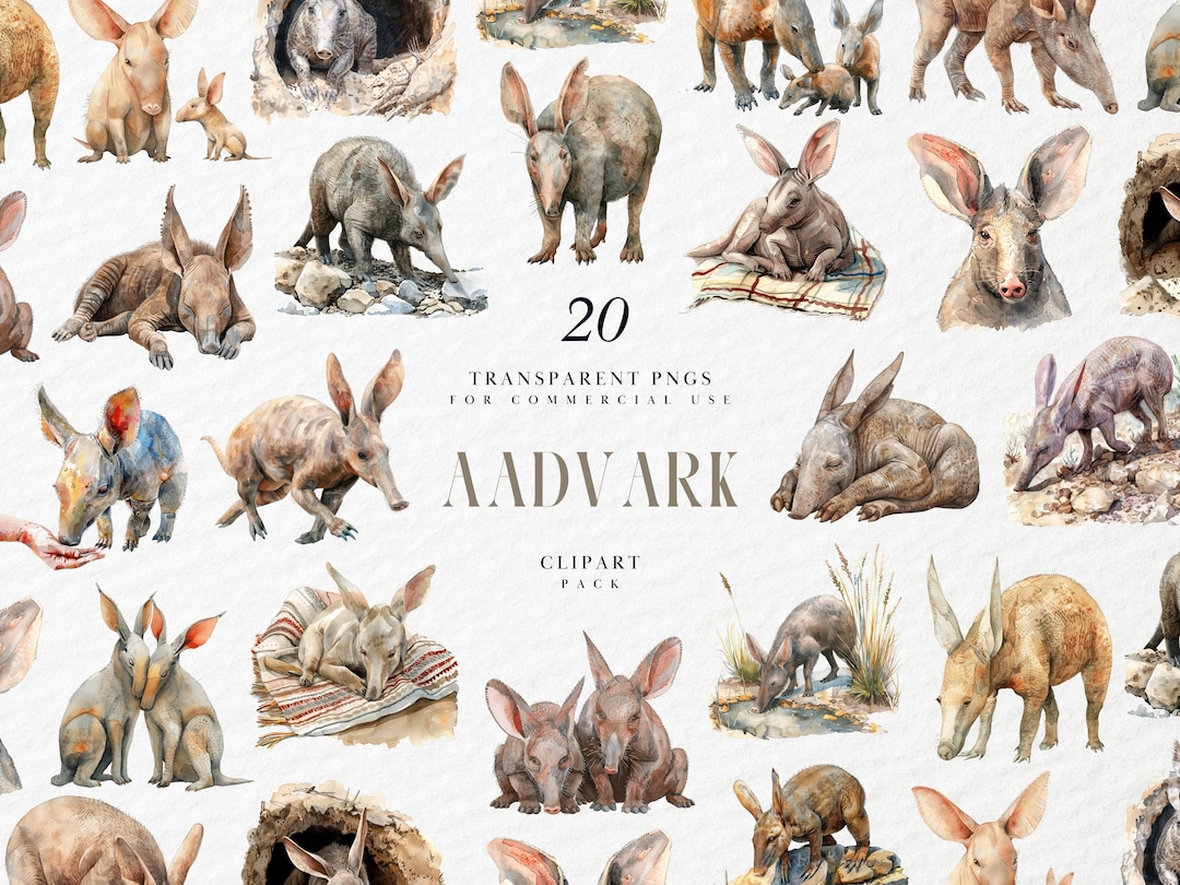Watercolor Aardvark Clipart, Safari Animal Art, African Wildlife, Zoo ...