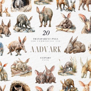 Watercolor Aardvark Clipart, Safari Animal Art, African Wildlife, Zoo ...