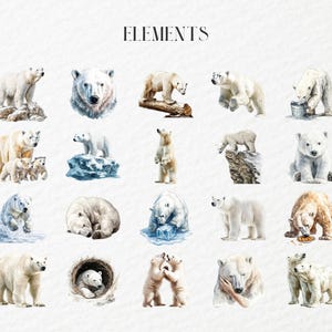 Watercolor Polar Bear Clipart, White Polar Bears Clipart, Realistic ...