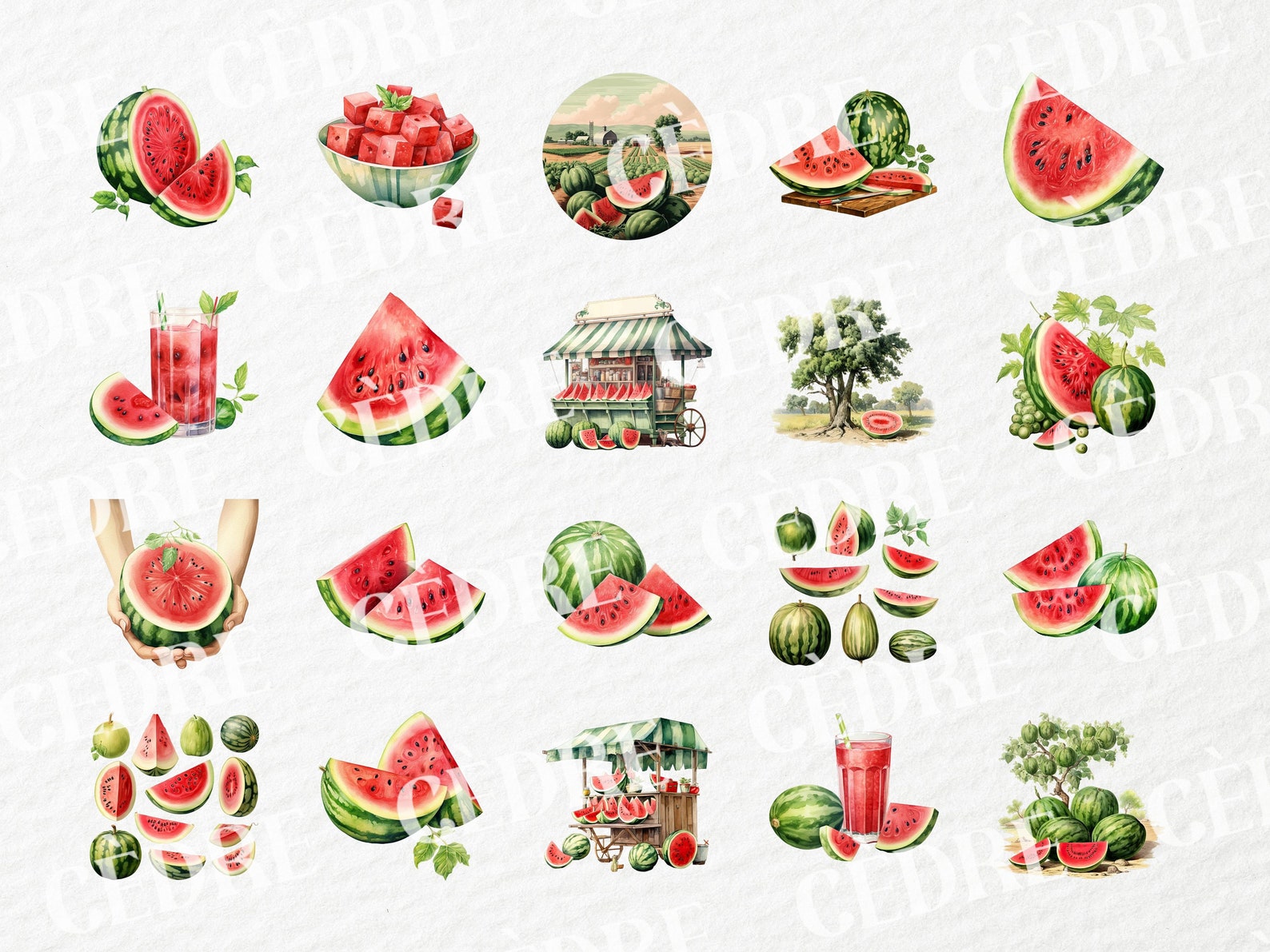 Watercolor Watermelon Clipart, Refreshing Watermelons Clipart, Summer ...
