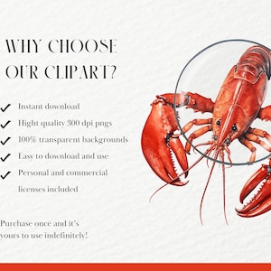 Watercolor Lobster Clipart, Sea Life Lobsters Clipart, Under the Sea ...
