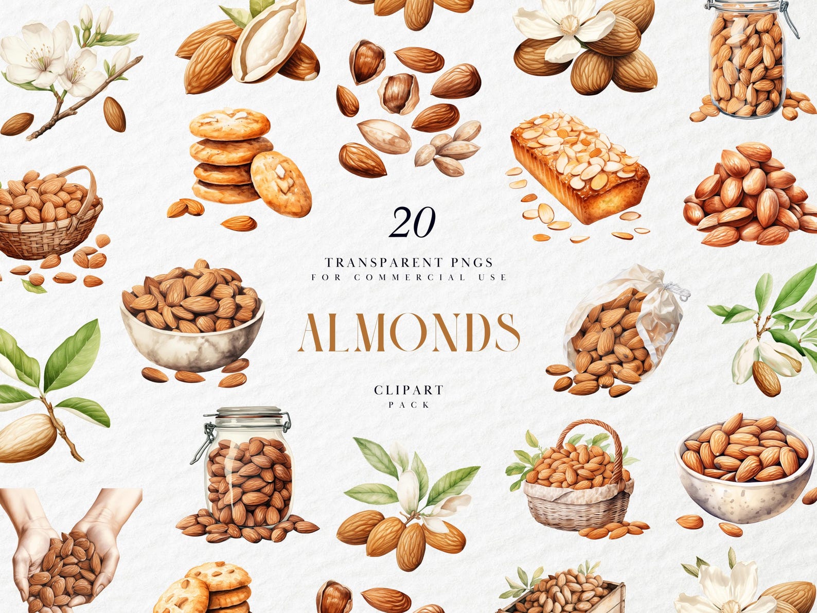 Watercolor Almonds Clipart, Nuts Legumes, Healthy Food, Midday Snack ...