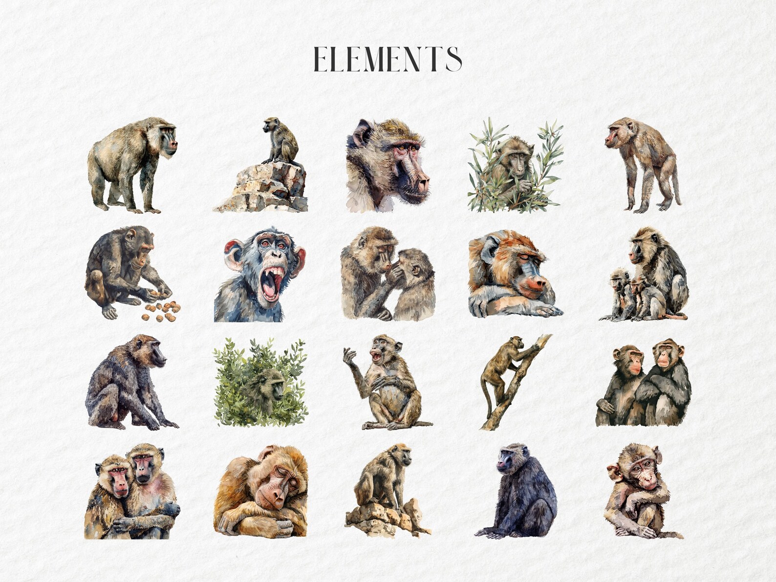 Watercolor Baboon Clipart, Realistic Zoo Animals Clipart, Primates ...