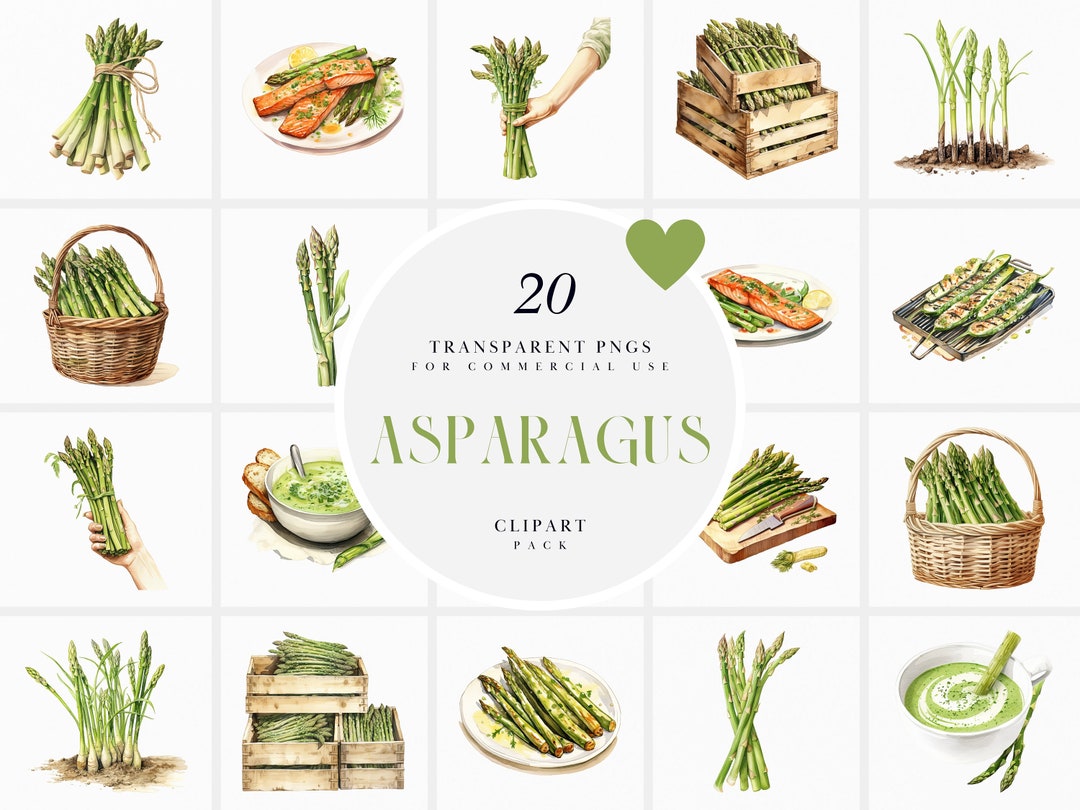 Watercolor Asparagus Clipart, Green Veggies Clipart, Vegetarian Healthy ...