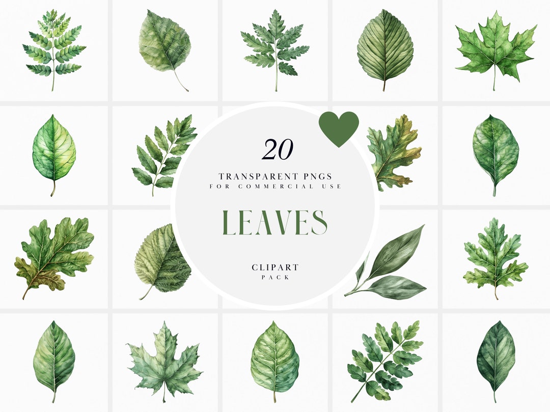Watercolor Assorted Leaves Clipart, Green Leaf Clipart, Tree Leaf ...