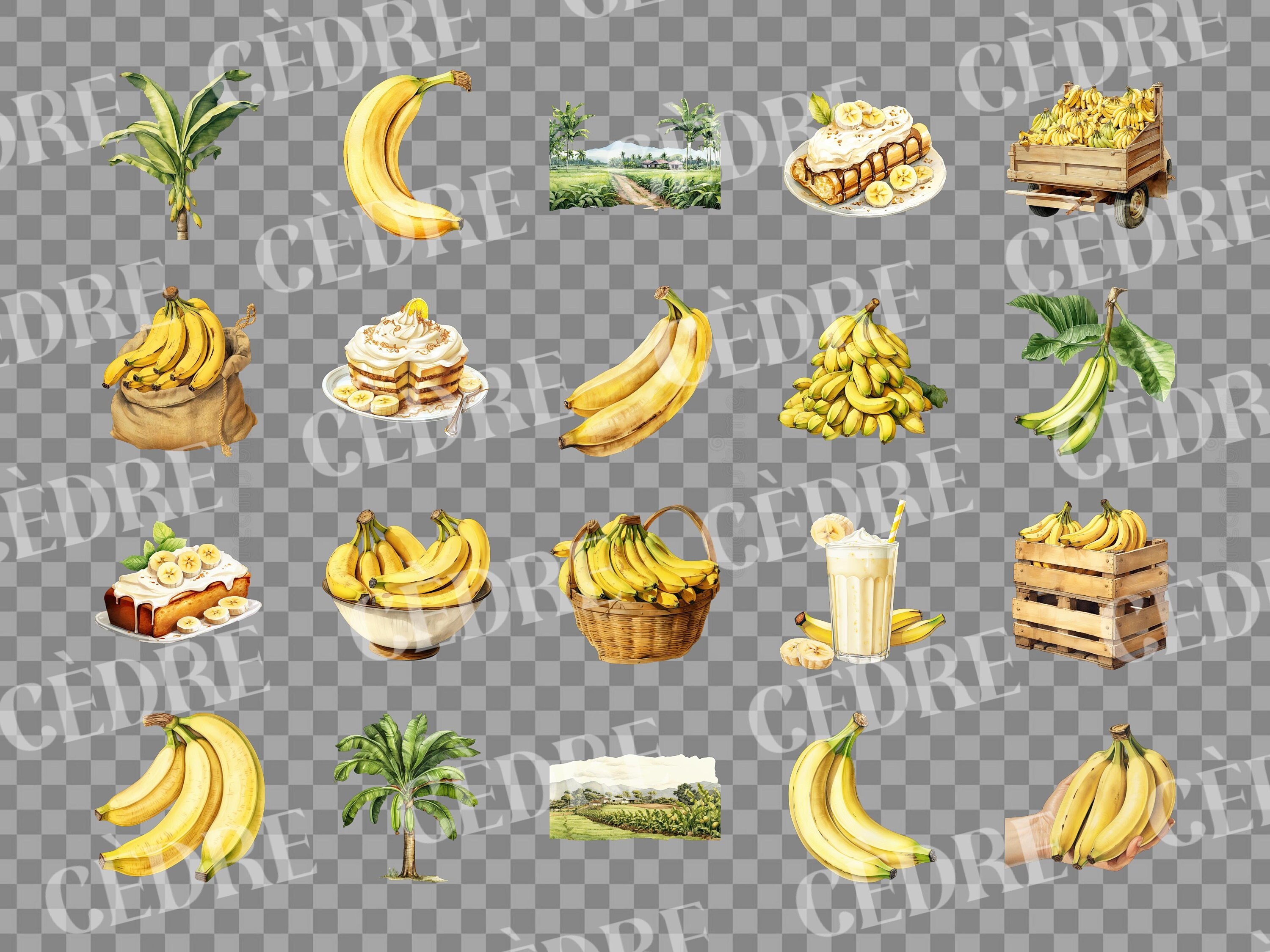 Watercolor Bananas Clipart, Yellow Banana Clipart, Fresh Tropical Fruit ...