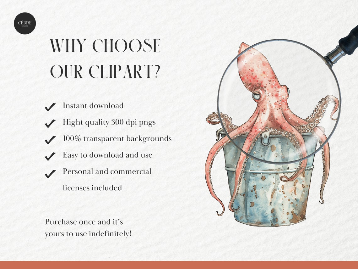 Watercolor Squid Clipart, Sea Life Squid Clipart, Squids Clipart, Under ...
