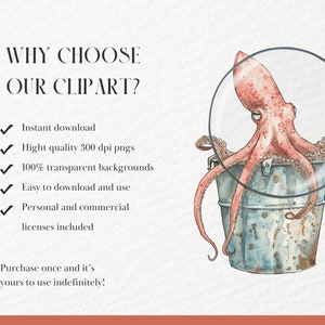 Watercolor Squid Clipart, Sea Life Squid Clipart, Squids Clipart, Under ...