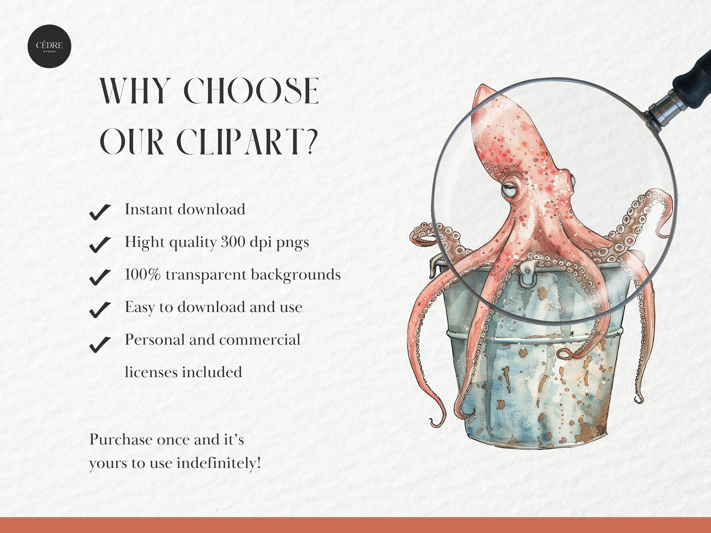 Watercolor Squid Clipart, Sea Life Squid Clipart, Squids Clipart, Under ...