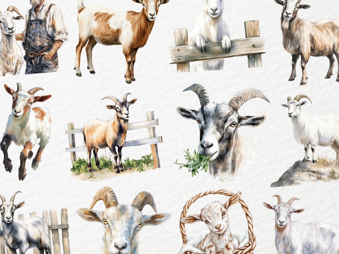 Watercolor Goat Clipart, Goats Clipart, Mountain Goat Clipart, Baby ...