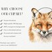 Watercolor Red Fox Clipart, Red Foxes Clipart, Woodland Fox Clipart ...