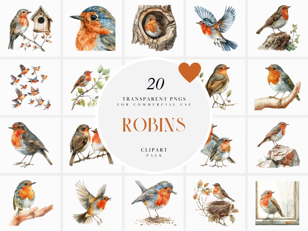 Watercolor Robin Clipart, Flying Robin Birds Clipart, Chirping Robin ...