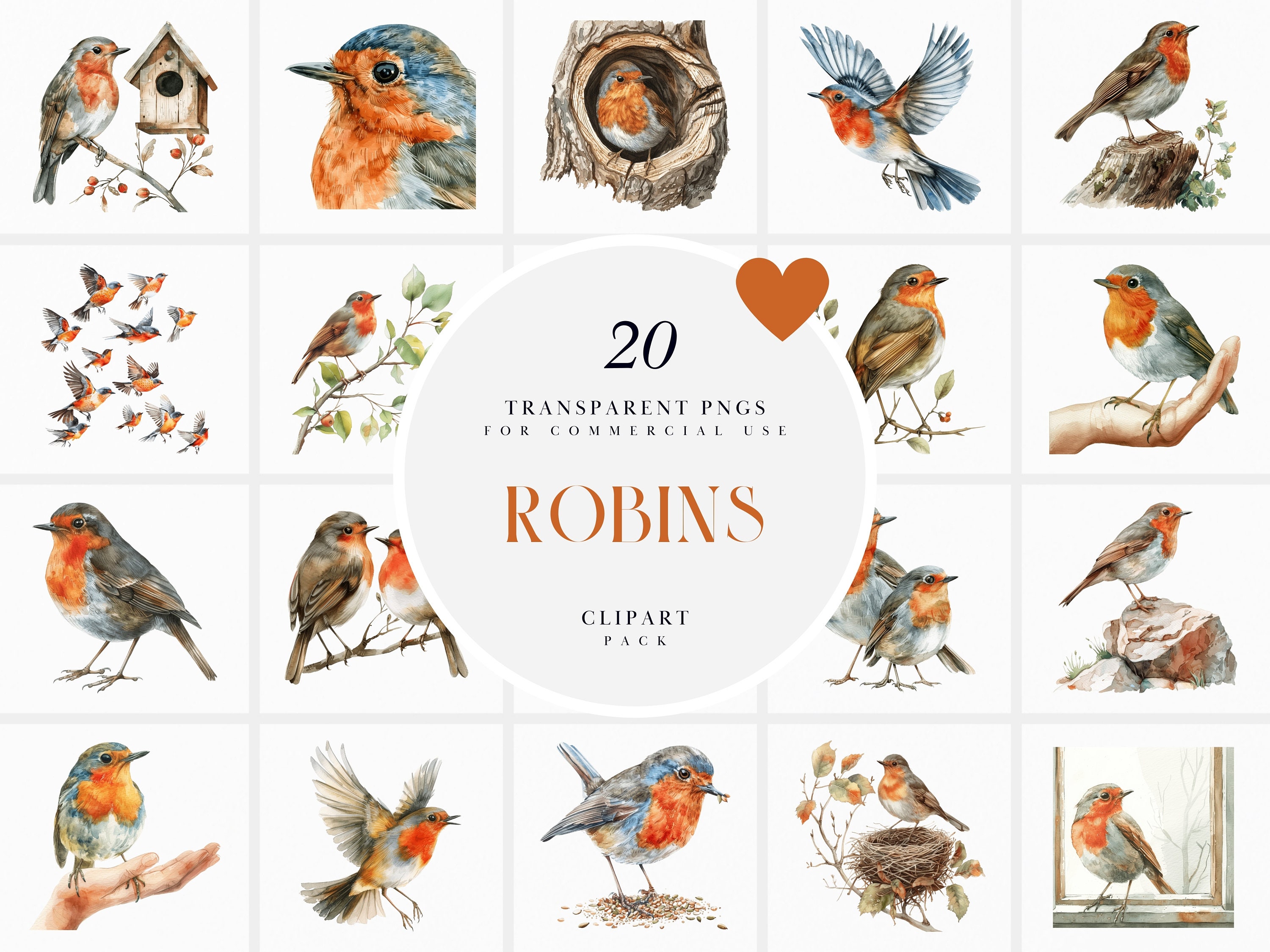 Watercolor Robin Clipart, Flying Robin Birds Clipart, Chirping Robin ...