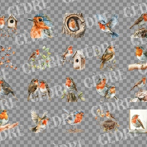 Watercolor Robin Clipart, Flying Robin Birds Clipart, Chirping Robin ...