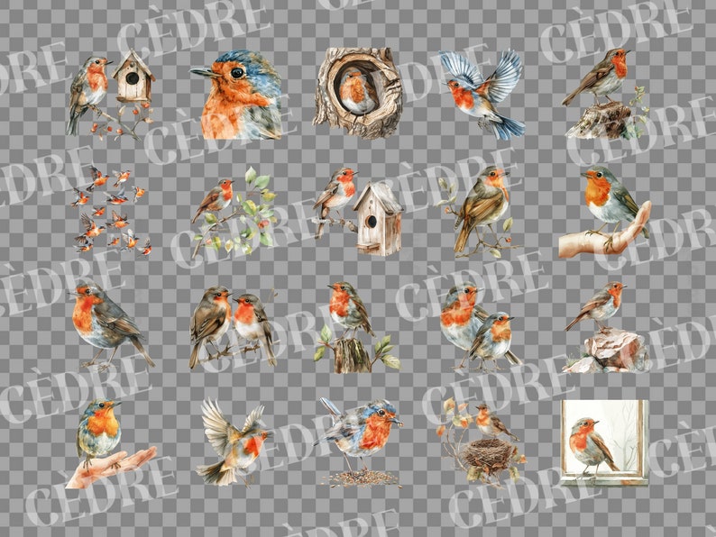 Watercolor Robin Clipart, Flying Robin Birds Clipart, Chirping Robin ...