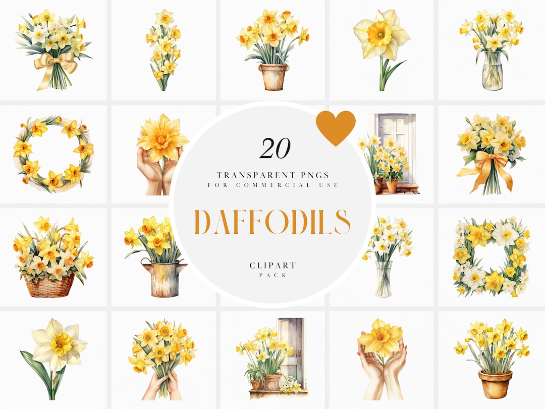Watercolor Daffodil Clipart, Botanical Yellow Floral Bouquet Clipart ...