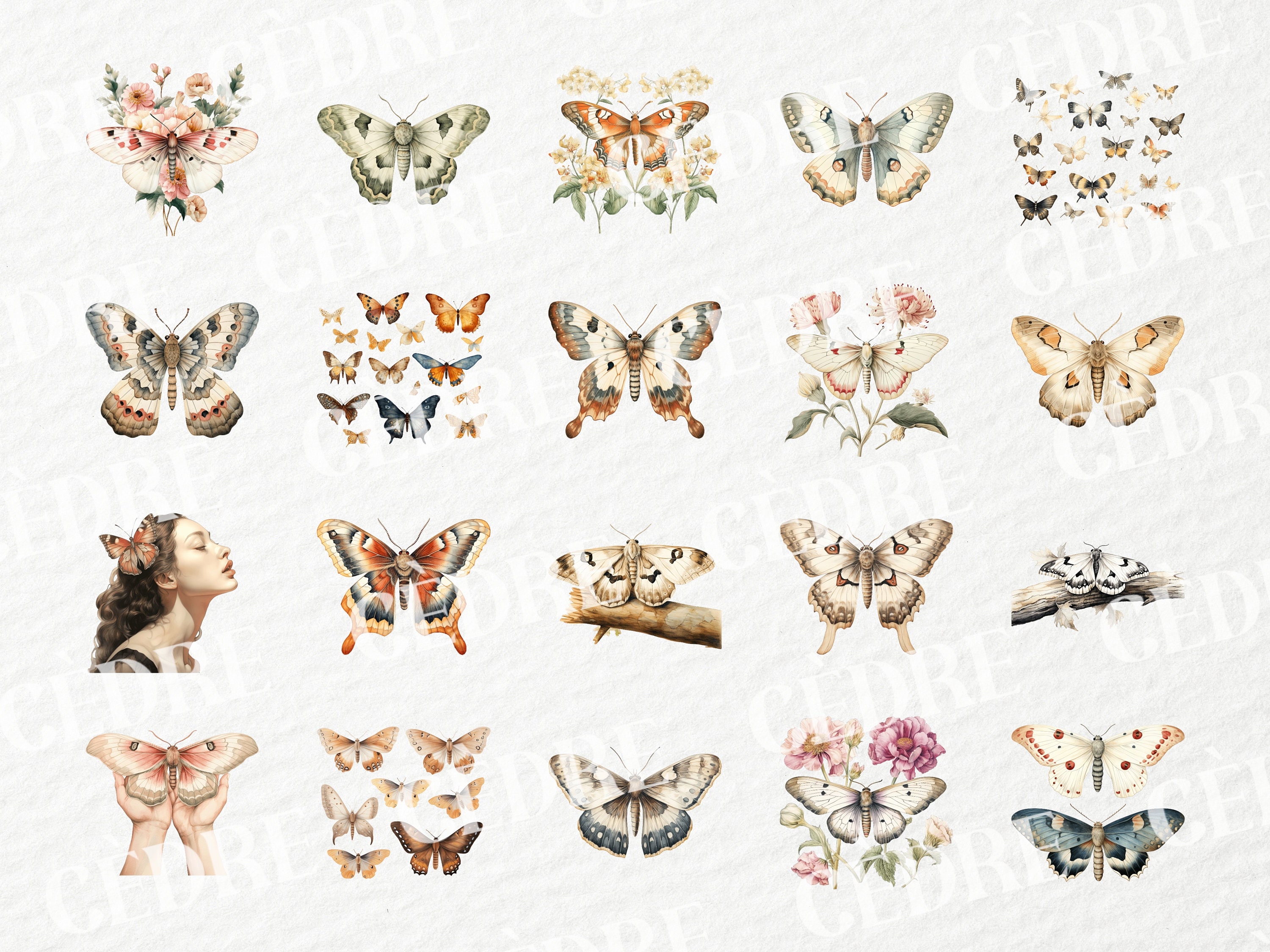 Watercolor Pastel Moth Clipart, Flying Pastel Moths Clipart, Woodland ...