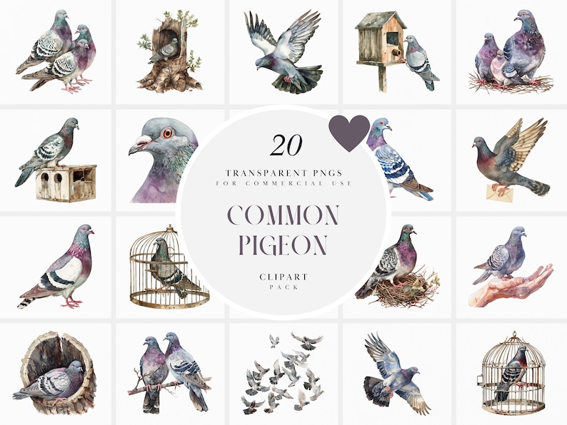 Watercolor Common Pigeon Clipart, Flying Common Pigeons Clipart, Pigeon ...