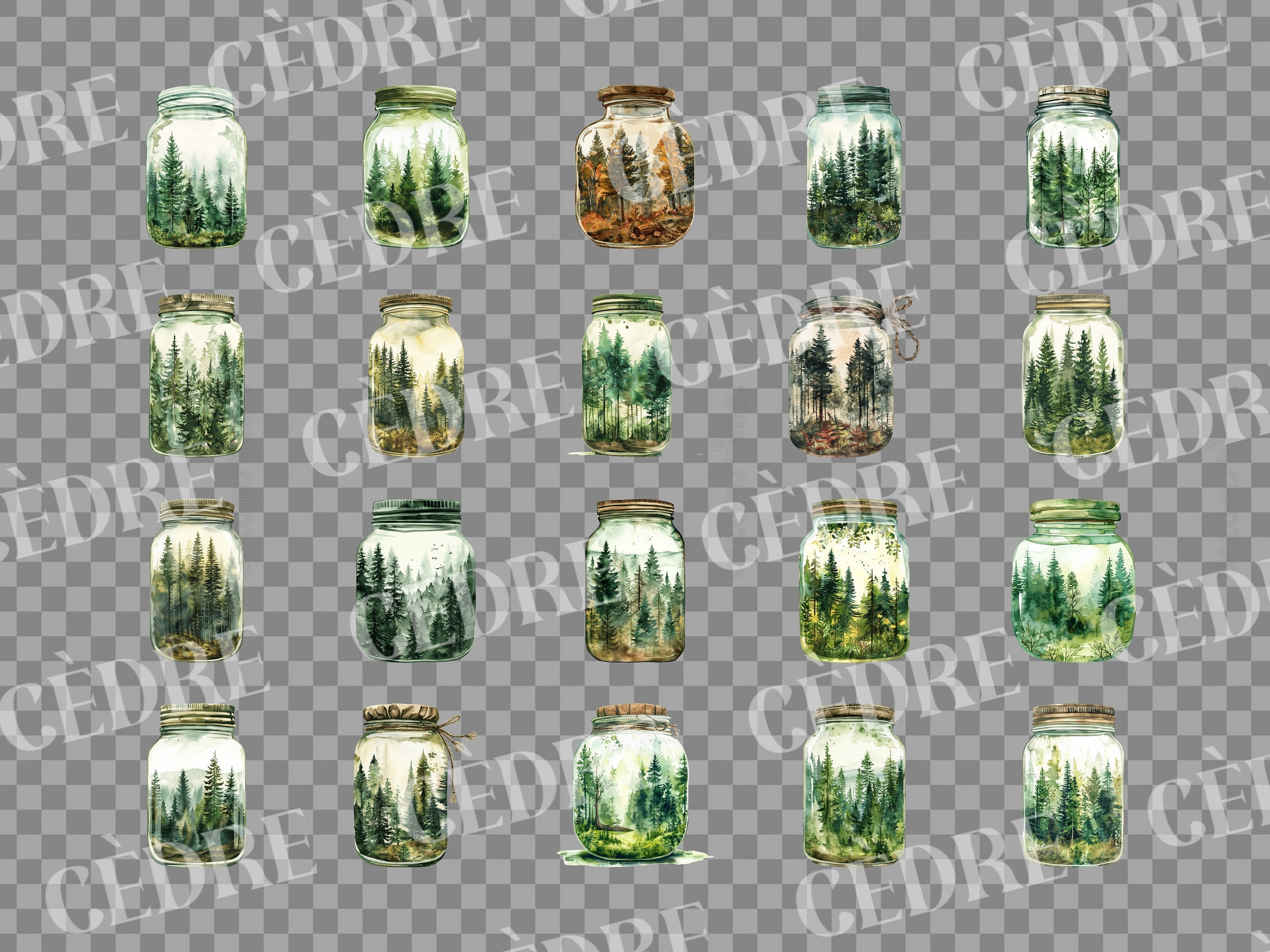 Watercolor Woods in Jar Clipart, Woodland Forest Jar Clipart, Pine ...