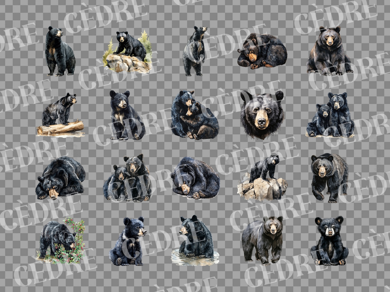 Watercolor Black Bear Clipart, Forest Black Bears Clipart, Realistic ...