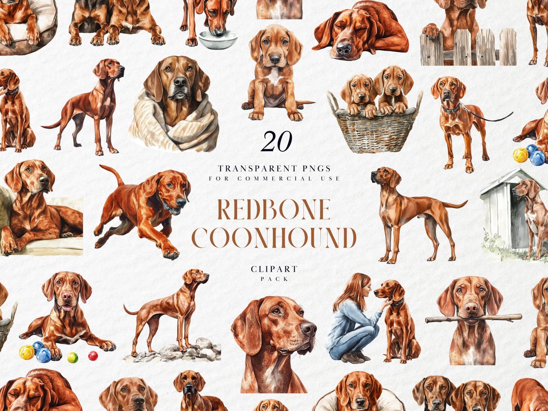 Watercolor Redbone Coonhound Clipart, Loyal Southern Hound Dog, Pet ...