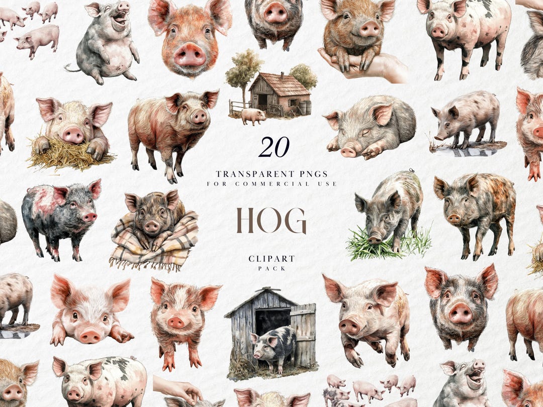 Watercolor Hog Clipart, Realistic Wild Boar Forest Illustration ...