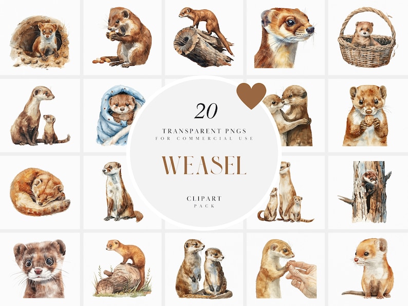 Watercolor Weasel Clipart, Weasels Clipart, Pet Ferret Clipart, Cute ...
