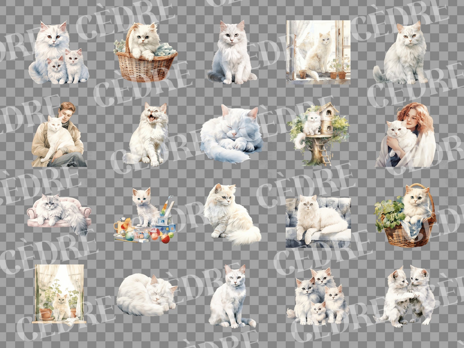 Watercolor White Cat Clipart, Cute White Cats Clipart, White Kittens ...