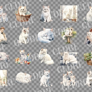 Watercolor White Cat Clipart, Cute White Cats Clipart, White Kittens ...