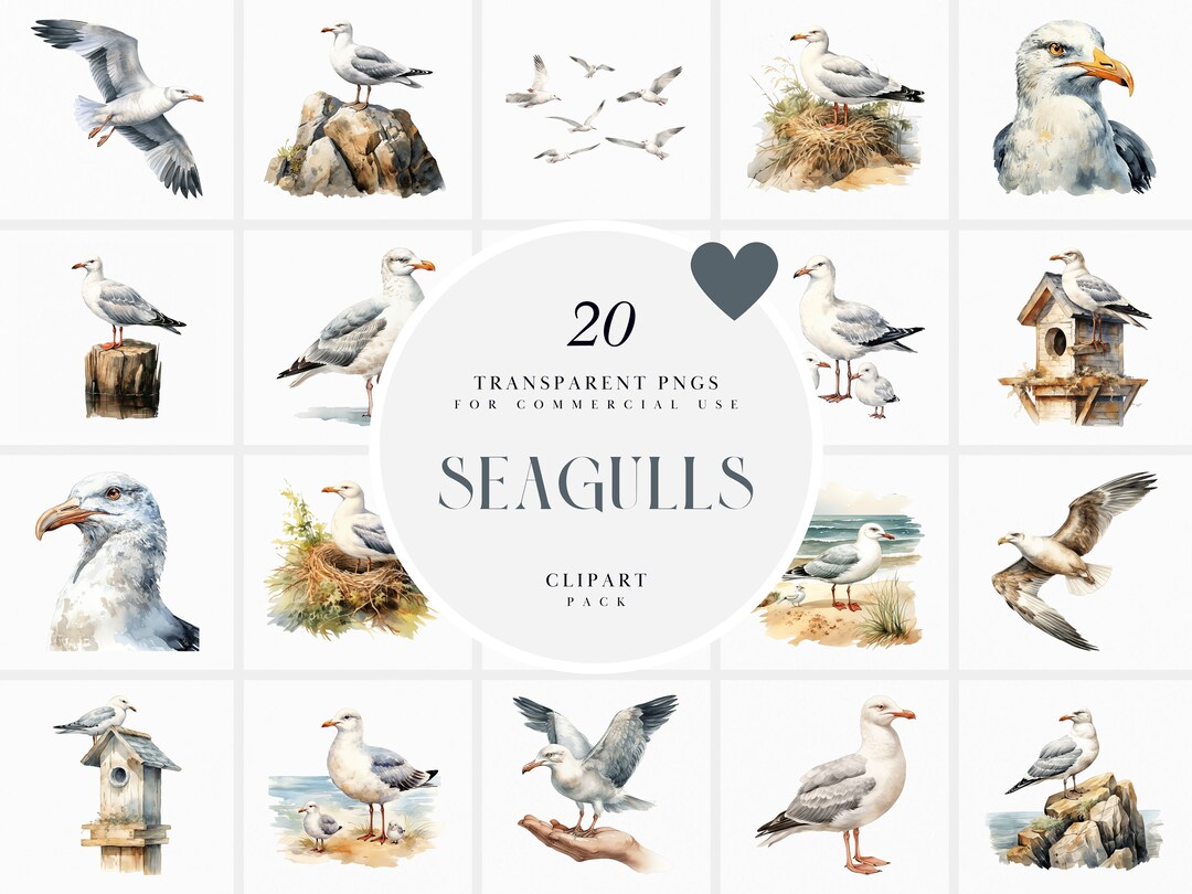 Watercolor Common Seagull Clipart, Flying Seagulls Clipart, Nautical ...