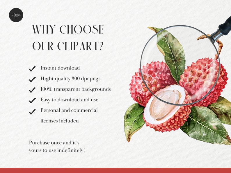 Watercolor Lychee Clipart, Tropical Fruit Plant, Sweet Lychees, Tree ...