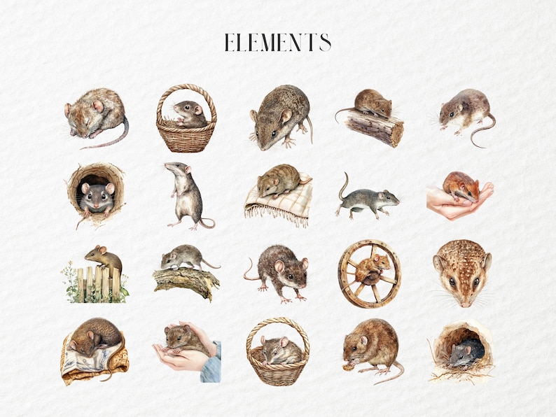 Watercolor Shrew Clipart, Mole Clipart, Pet Cute Baby Shrews, American ...
