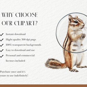 Watercolor Chipmunk Clipart, Woodland Chipmunks Clipart, Cute Baby ...