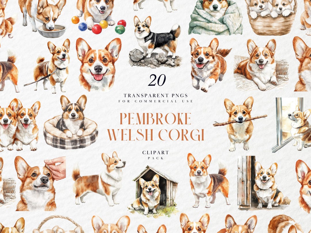 Watercolor Pembroke Welsh Corgi Clipart, Quirky Herding Dog ...