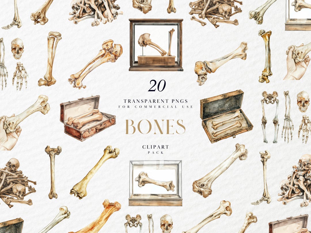 Watercolor Bones Clipart, Skeleton Study, Skull and Human Bones for ...