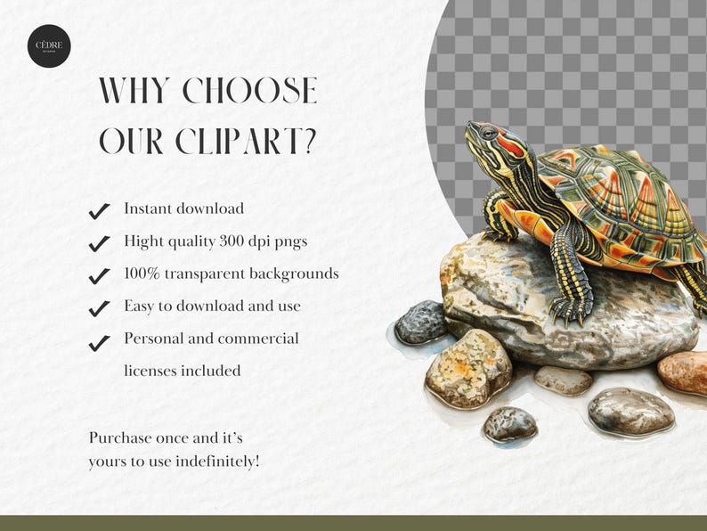 Watercolor Painted Turtle Clipart, Swamp Lake Turtles, Wetland, Pond ...