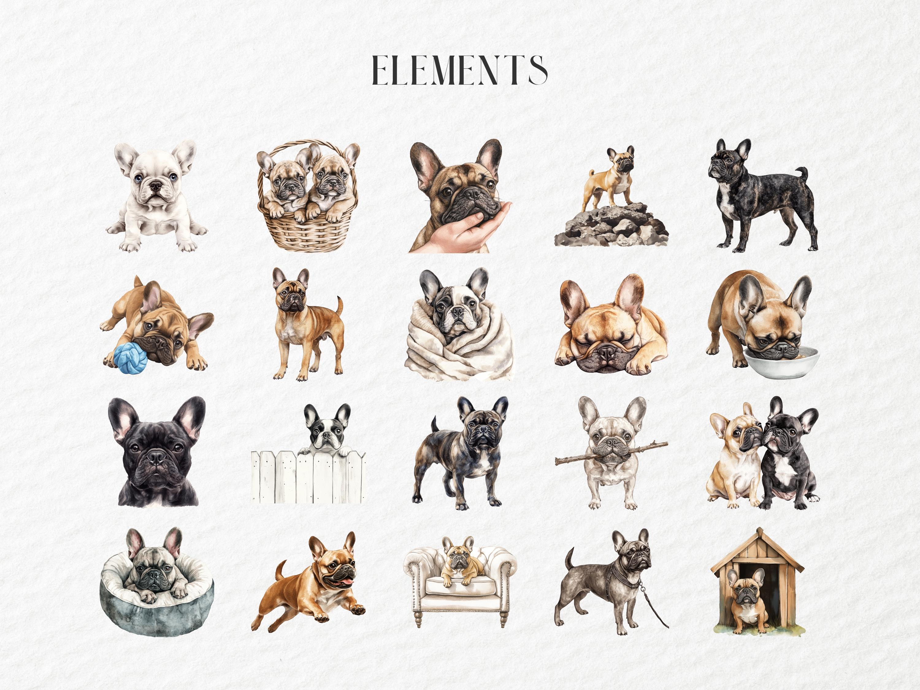 Watercolor French Bulldog Clipart, Cute Brown Frenchie Portrait ...