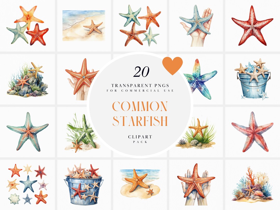 Watercolor Starfish Clipart, Starfishes, Deep Under the Sea, Sea ...