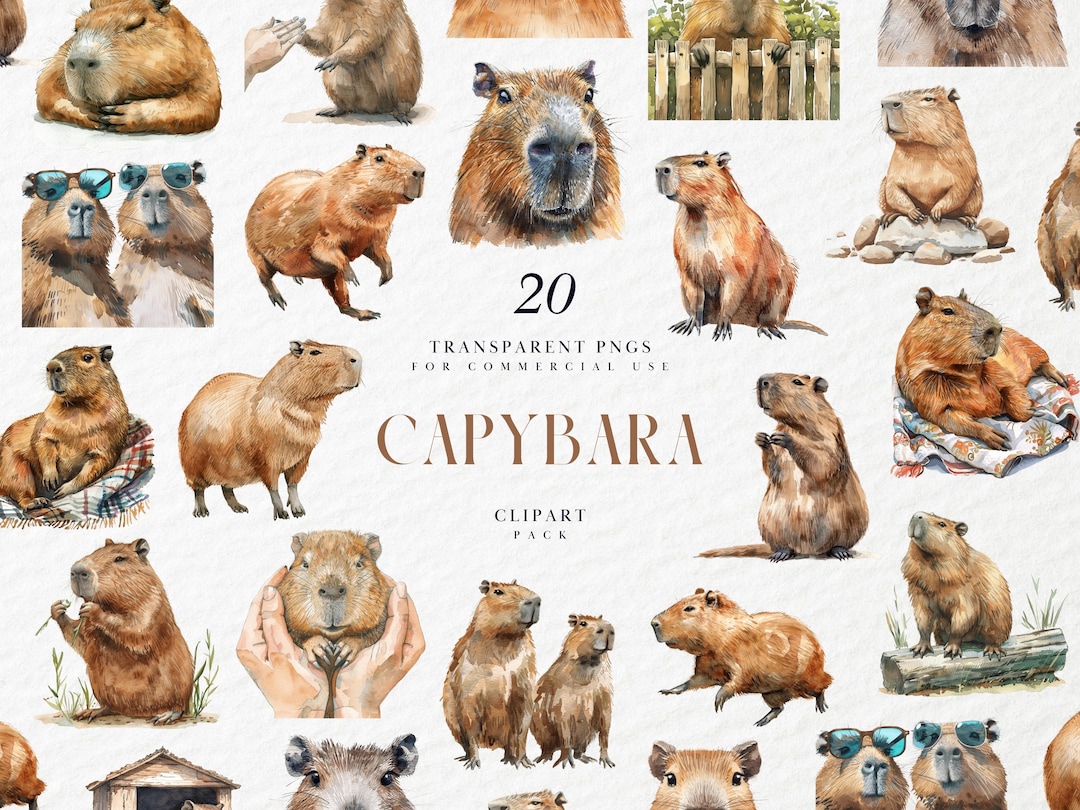Watercolor Capybara Clipart, Realistic Capybaras, Zoo Animals Wildlife ...