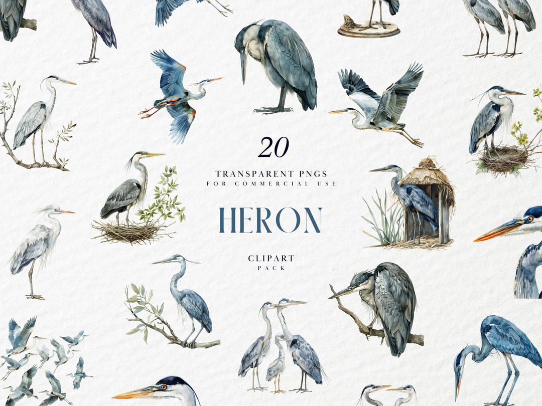 Watercolor Common Heron Clipart, Flying Herons Clipart, Large Water ...