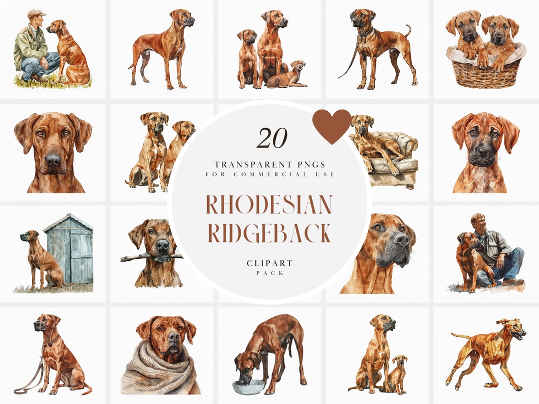 Watercolor Rhodesian Ridgeback Clipart, South Africa Ridebacks Clipart ...