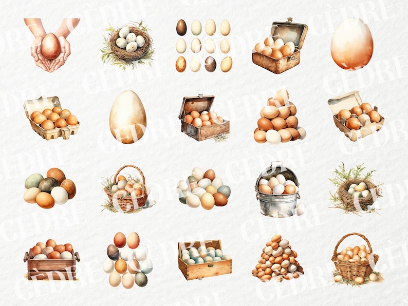 Watercolor Eggs Clipart, Chicken Eggs Clipart, Carton of Eggs Clipart ...