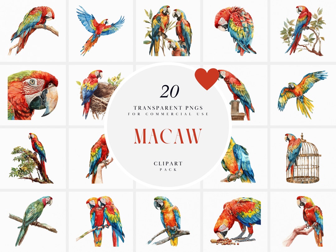 Watercolor Macaw Clipart, Flying Macaws Birds Clipart, Chirping ...
